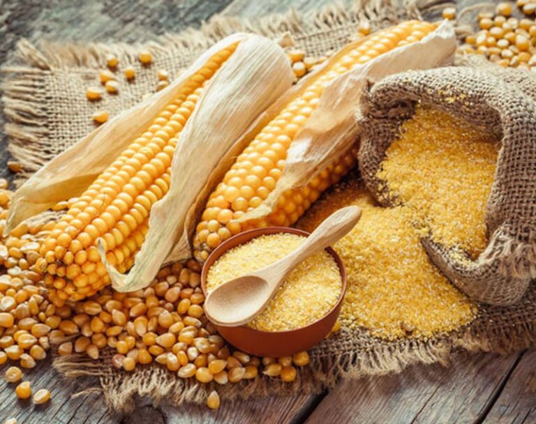 Maize Starch, Corn Starch, Food Grade Starches
